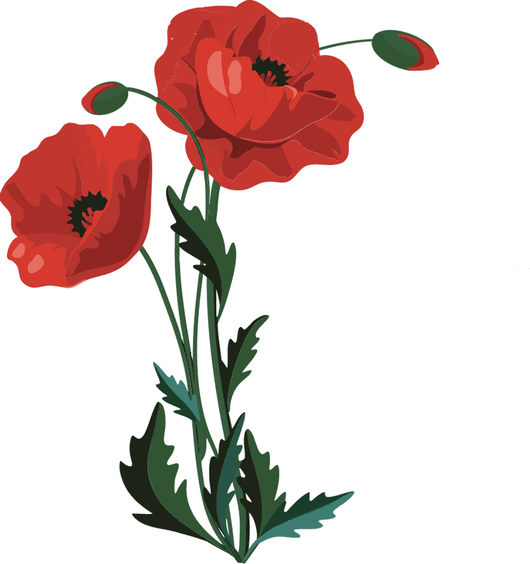 What We Do - Forces Support